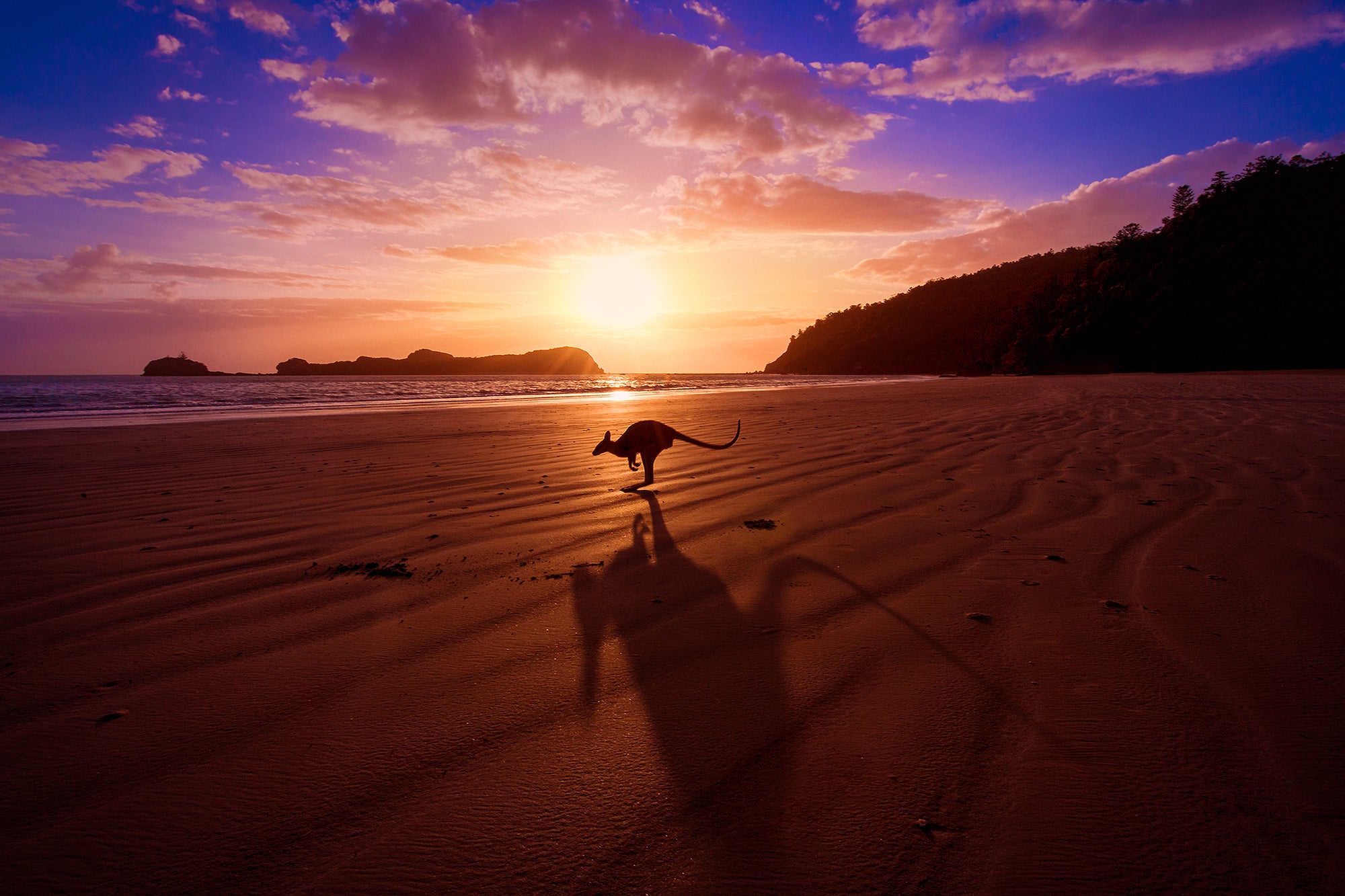 Best Carry On Backpacks Australia Wide