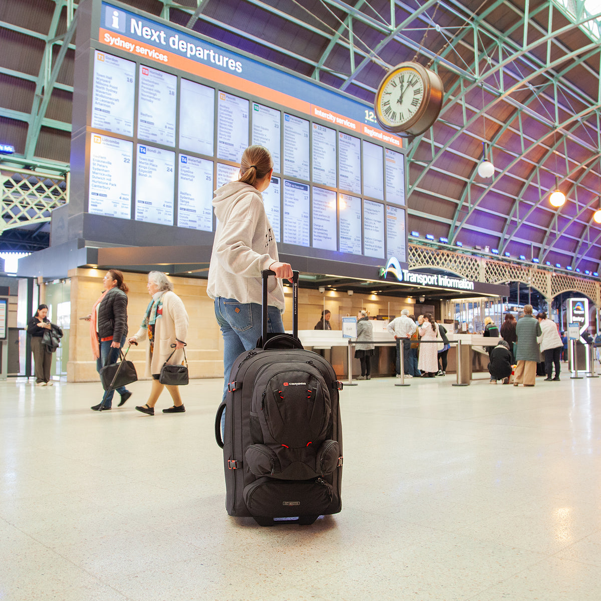 Buy Sky Master 80L III wheel travel pack with BONUS 2pc Packing Cube ...